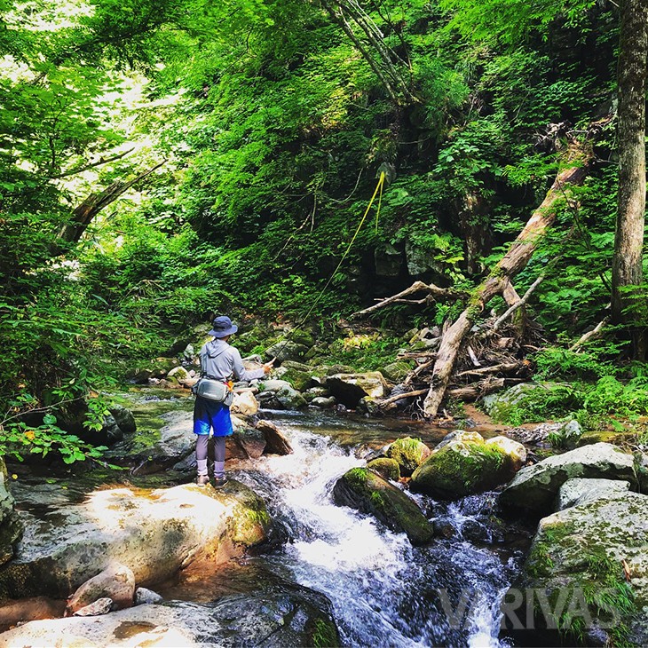 Trout Fishing Guide Report from Japan’s Sanin Region – VARIVAS