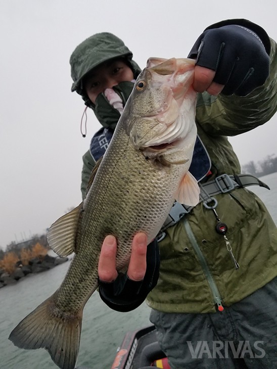 Nogales Hooks make a big difference in early spring Bass fishing in ...