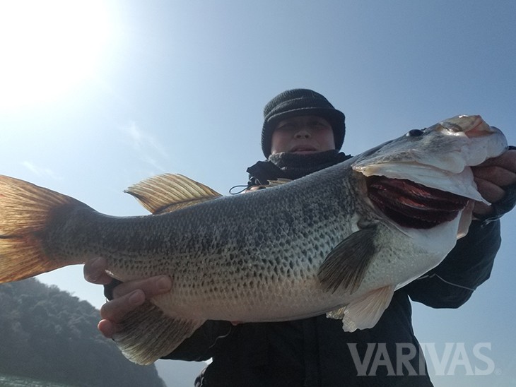 Nogales Hooks make a big difference in early spring Bass fishing in ...