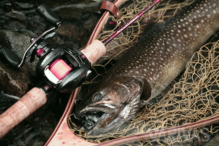 Japan’s 2020 Season for ‘Stream Fishing Kingdom’ Begins – VARIVAS