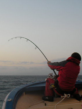Chasing Bluefin Tuna in the Sea of Tsugaru – VARIVAS