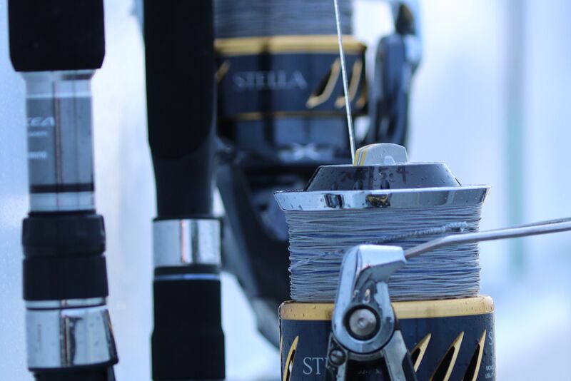 Avani Casting PE SMP X8 – VARIVAS