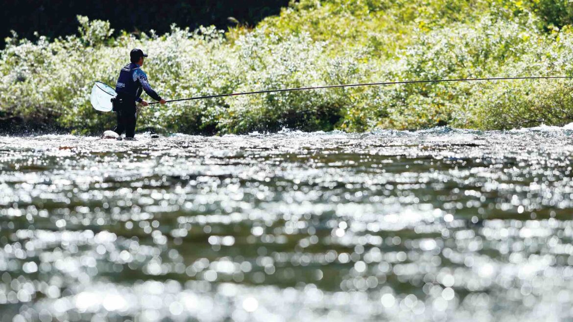 VARIVAS - Official N. American Online Store