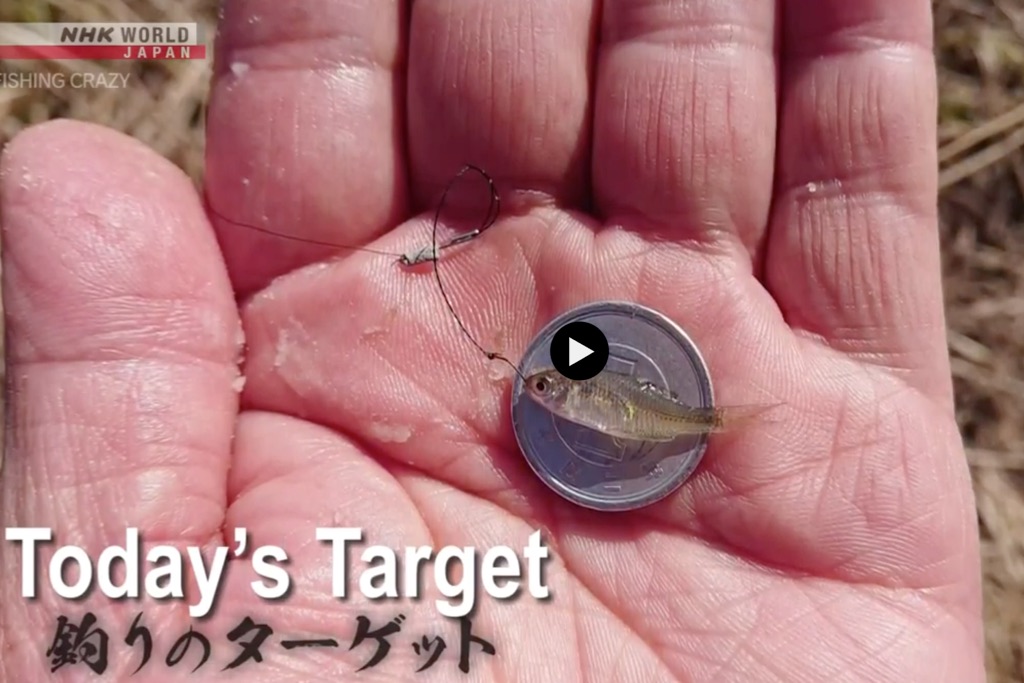 Smallest Fish In The World