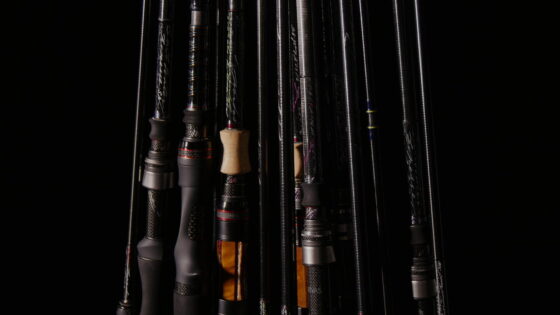 VARIVAS - Official N. American Online Store