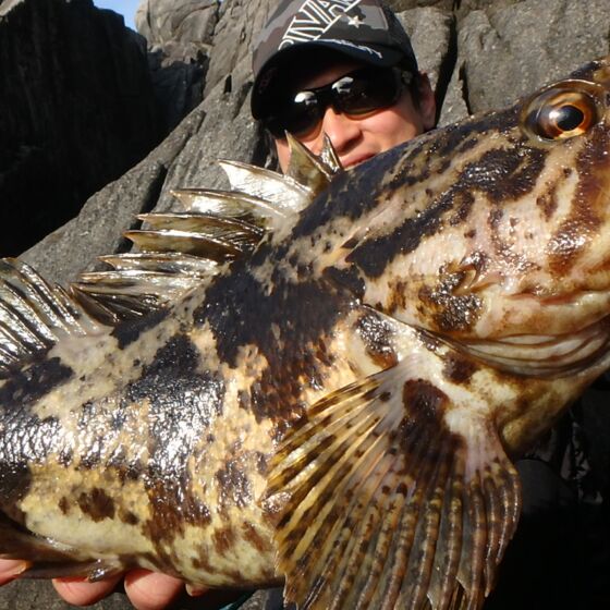 ROCK_ON Ring Gritter Hook – VARIVAS