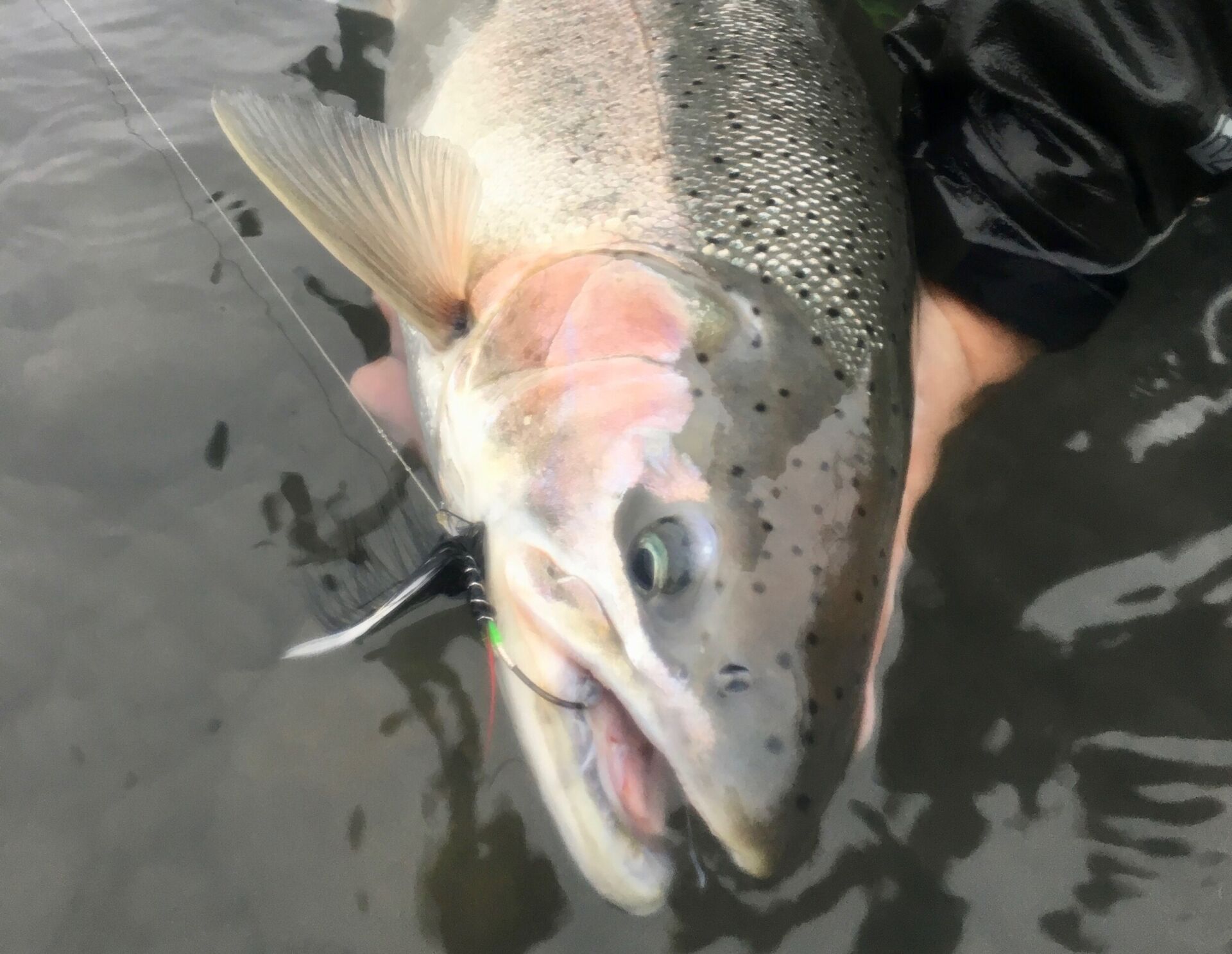 Field Report: AIRS Shooting Line – the best shooting line for winter ...