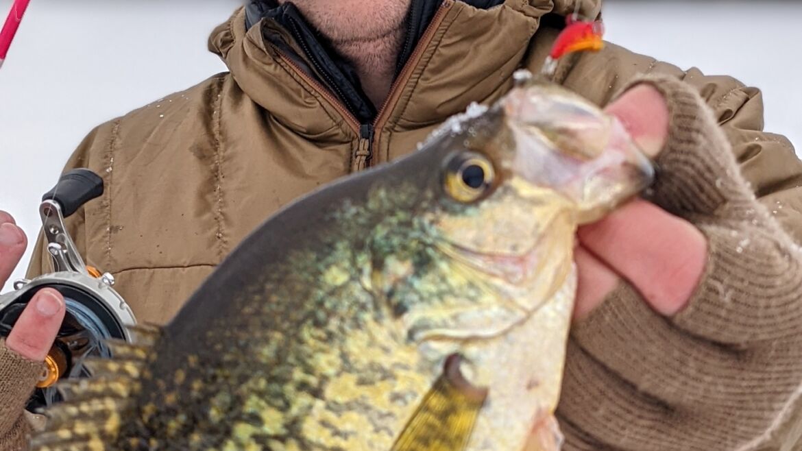 VARIVAS - Official N. American Online Store